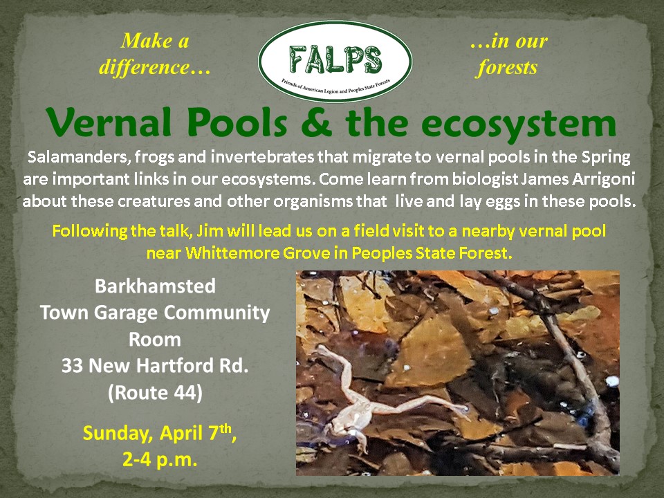 Vernal Pools & the ecosystem - Friends of American Legion and Peoples ...
